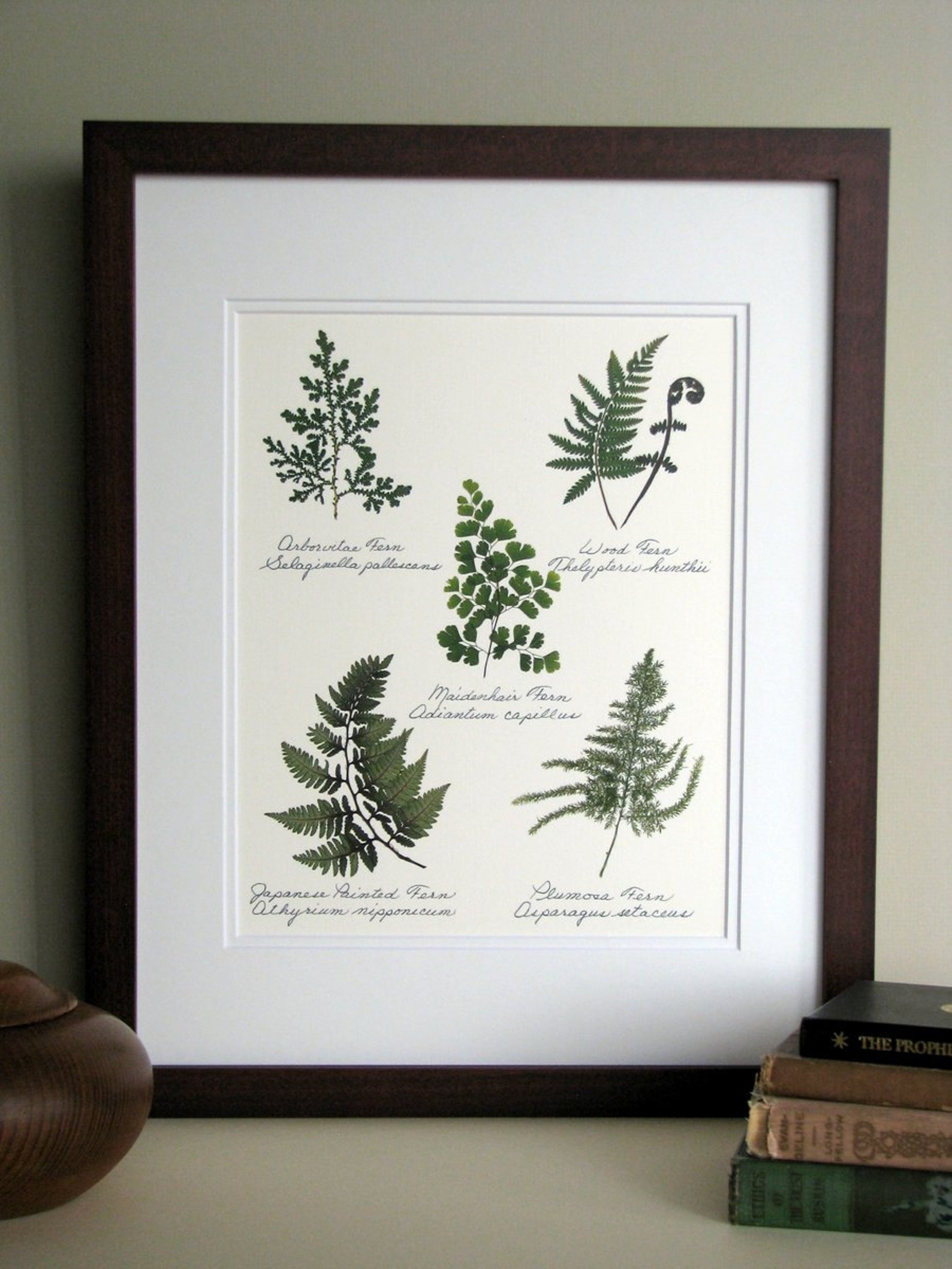 Pressed Fern Art Print 11x14 Double Matted Botanical Fern - Etsy