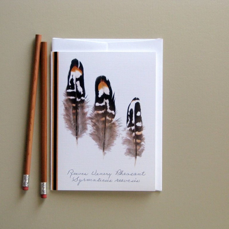 Feather Cards - Etsy