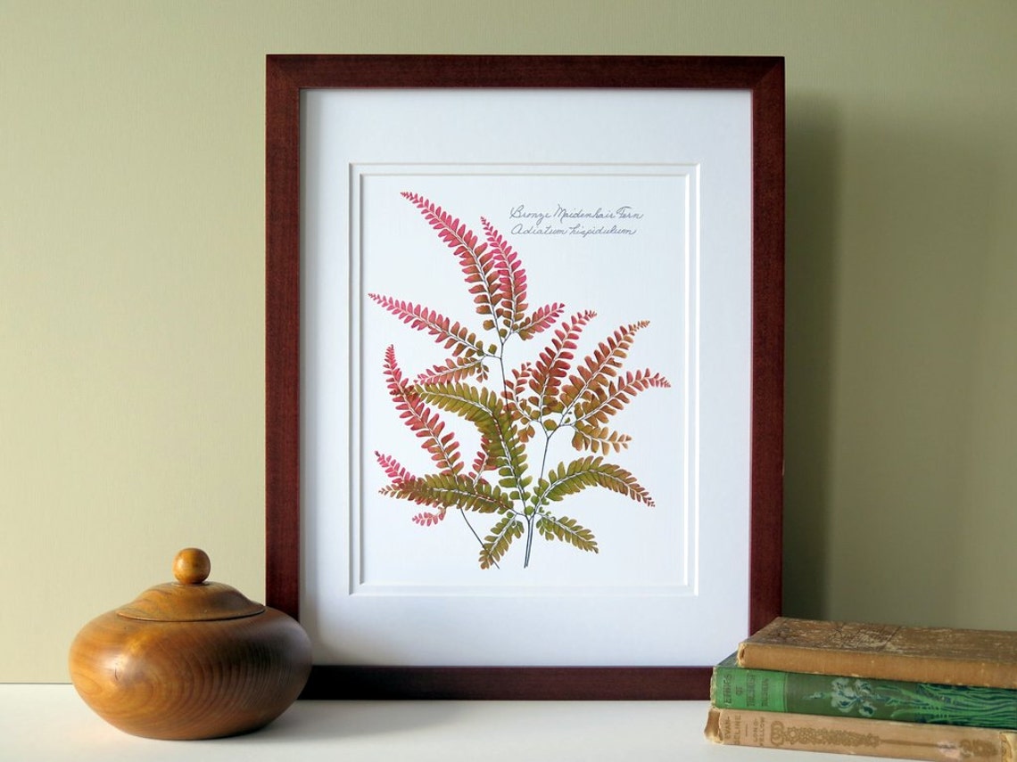 Pressed Ferns Print 11x14 Double Matted Bronze Maidenhair - Etsy