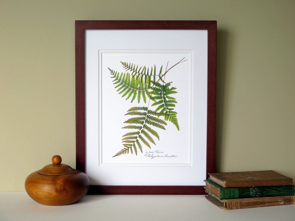 Pressed Fern Print 11x14 Double Matted Wood Ferns Botanical | Etsy