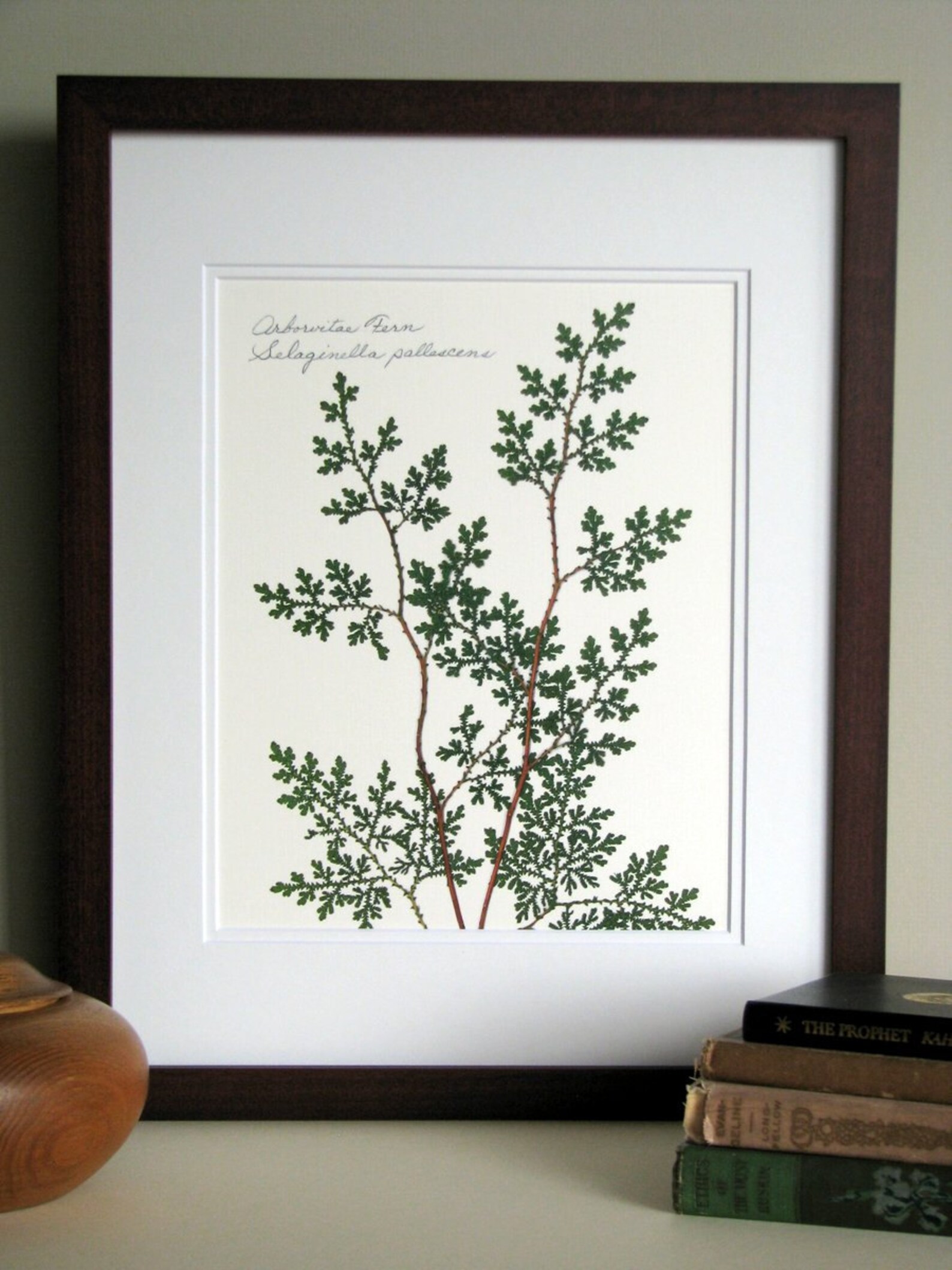 Pressed Fern Print 11x14 Double Matted Arborvitae Woodland | Etsy