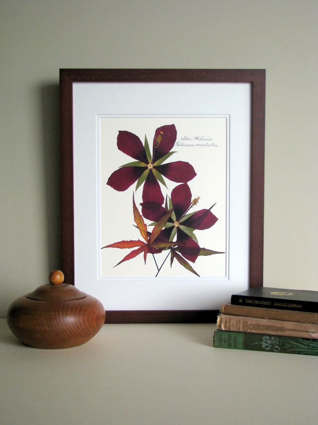 Pressed Flower Print, 11x14 Double Matted, Star Hibiscus Tropical ...