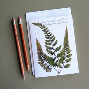 Pressed Fern Card, Japanese Painted Fern Note Card, Nature Card, Green ...