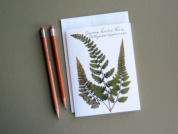 Pressed Fern Card Japanese Painted Fern Note Card Nature | Etsy