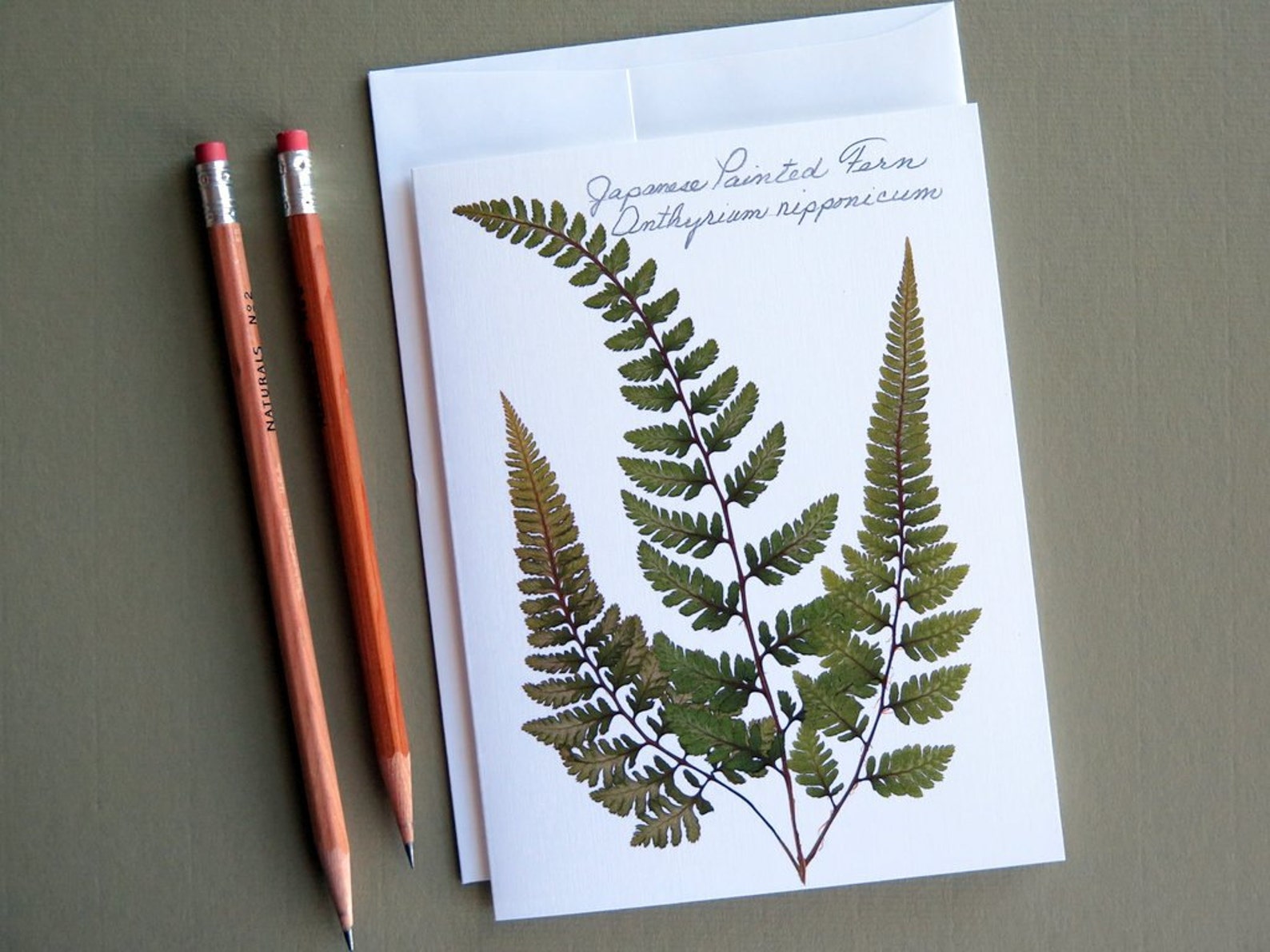 Pressed Fern Card Japanese Painted Fern Note Card Nature | Etsy