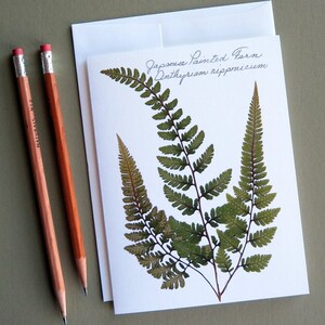 Pressed Fern Card, Japanese Painted Fern Note Card, Nature Card, Green ...