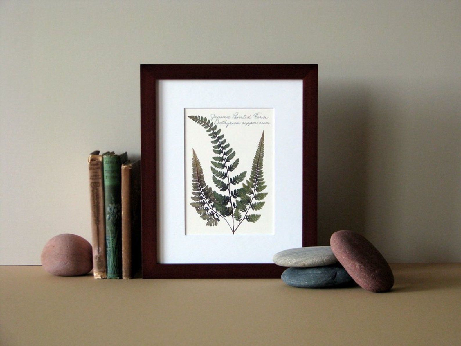 Pressed Fern Print 8 X 10 Matted Japanese | Etsy