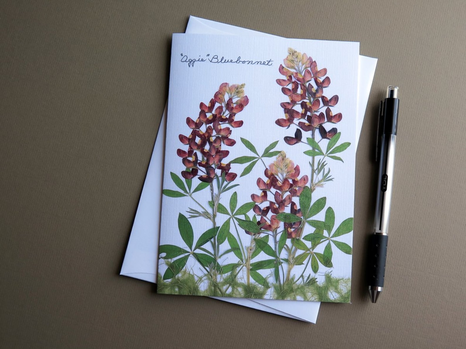 Aggie Maroon Bluebonnet, Texas Aggies, Texas A&M, College Station ...