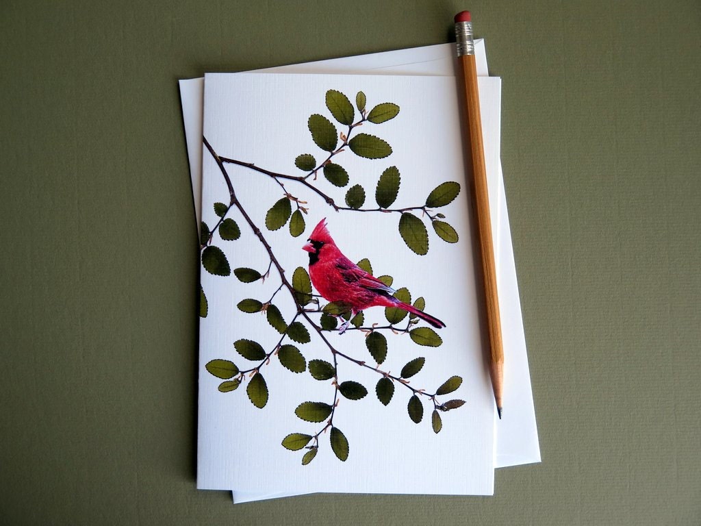Cork Elm Tree Leaves Red Cardinal Pressed Leaves Card Card - Etsy