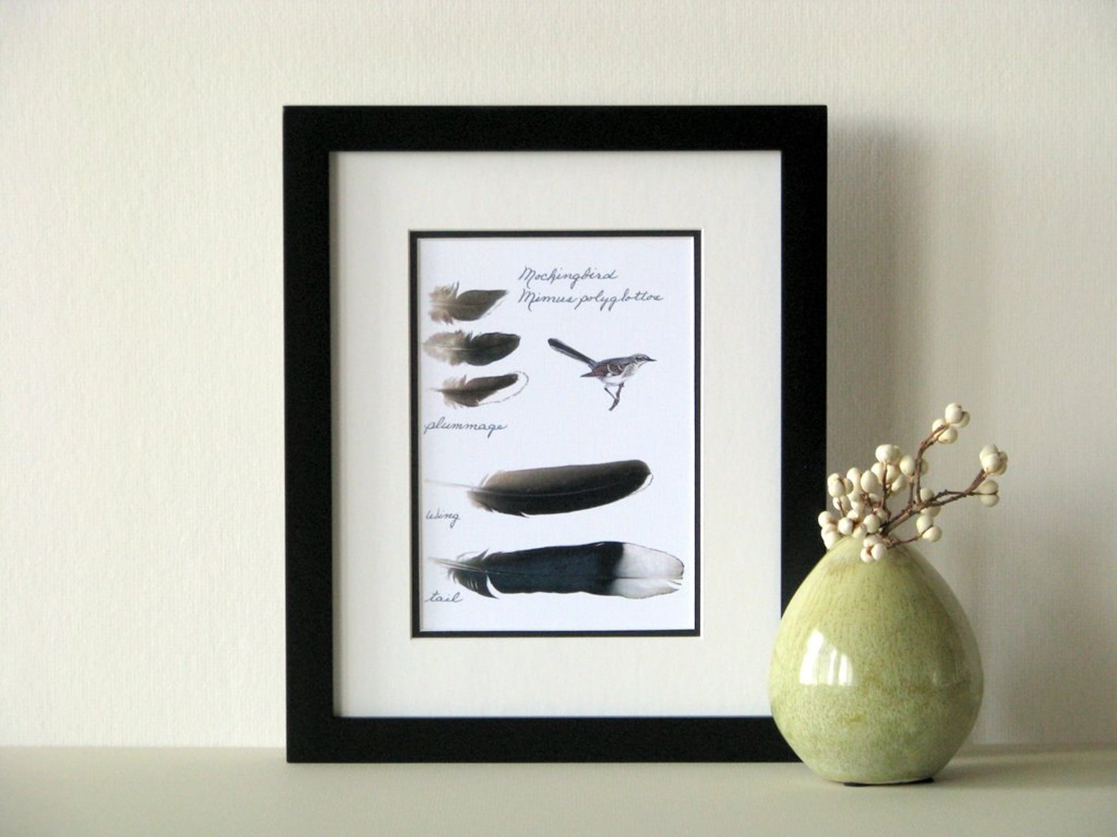 Feather Art Print Mockingbird Feather Art Study 8 X | Etsy