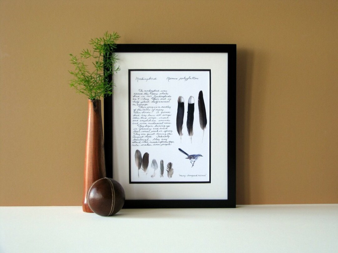 Feather Art Print, Mockingbird Art, Feather Art, Modern, Mockingbird ...
