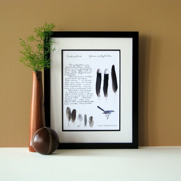 Feather Study - Etsy