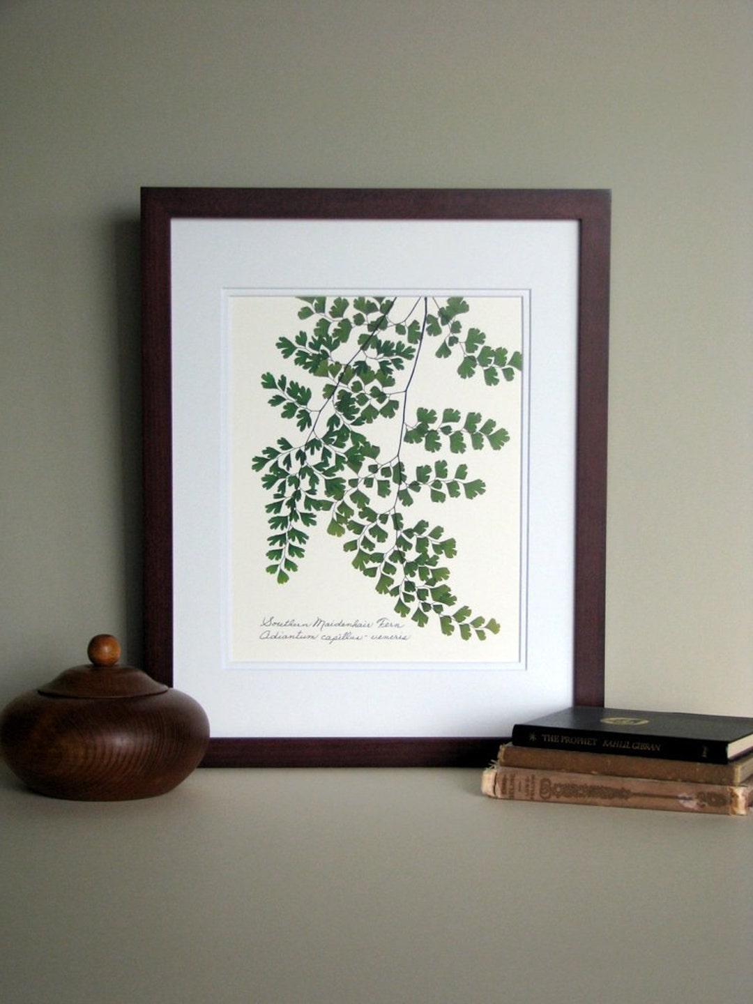 Pressed Fern Art Print, 11x14 Double Matted, Southern Maidenhair Fern ...
