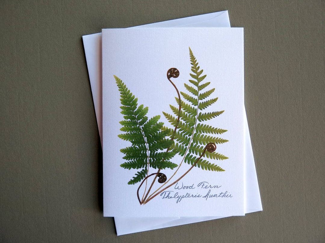 Wood Fern Card, Fern Card, Pressed Ferns, Greeting Card for Nature ...