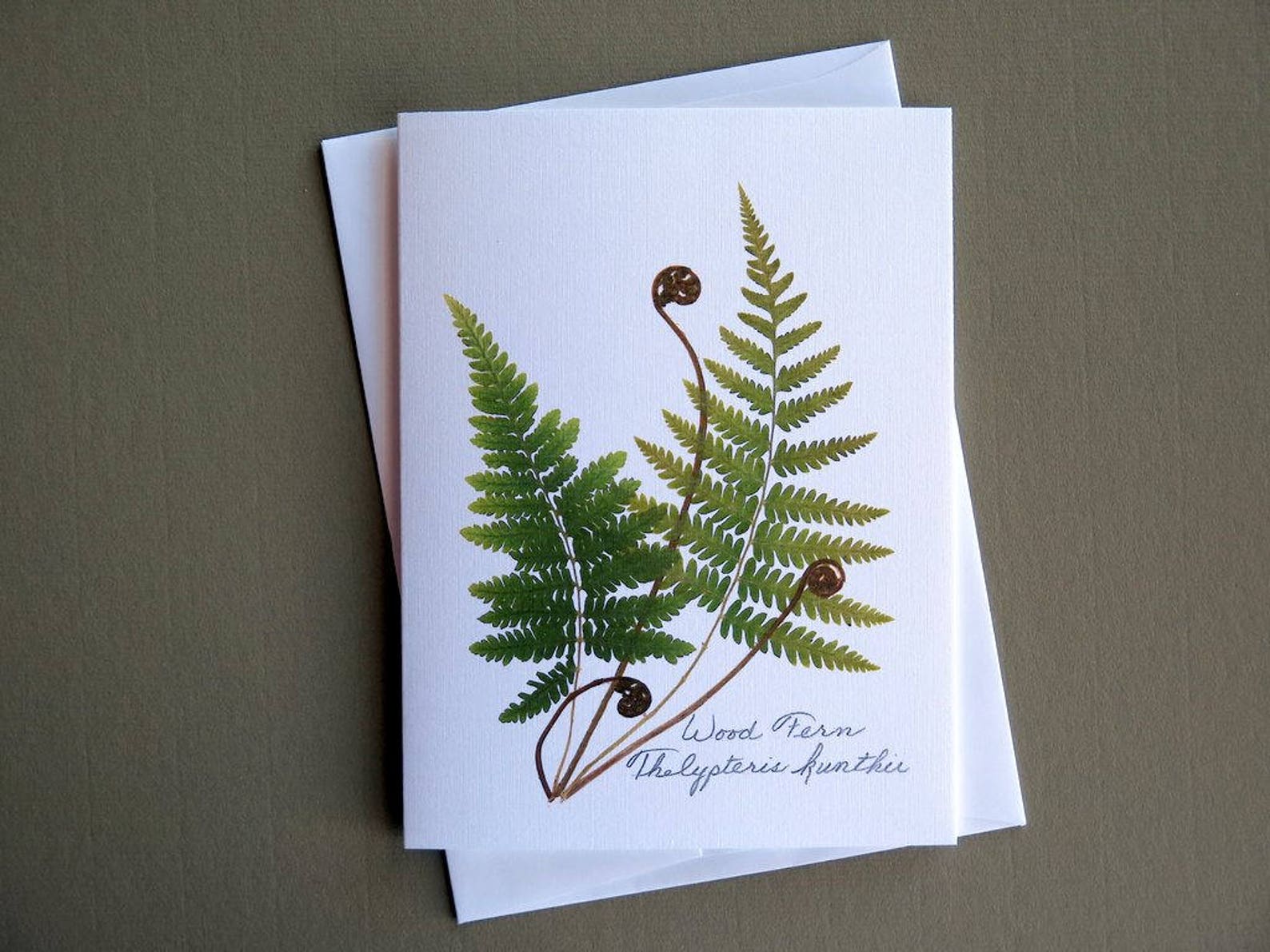 Wood Fern Card Fern Card Pressed Ferns Greeting Card for - Etsy