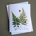 Wood Fern Card, Fern Card, Pressed Ferns, Greeting Card for Nature ...