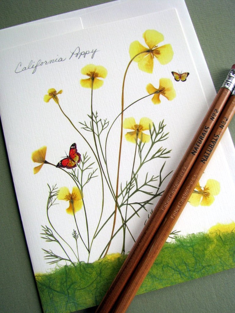 California Poppy Flowers With Tiny Butterflies Yellow and - Etsy