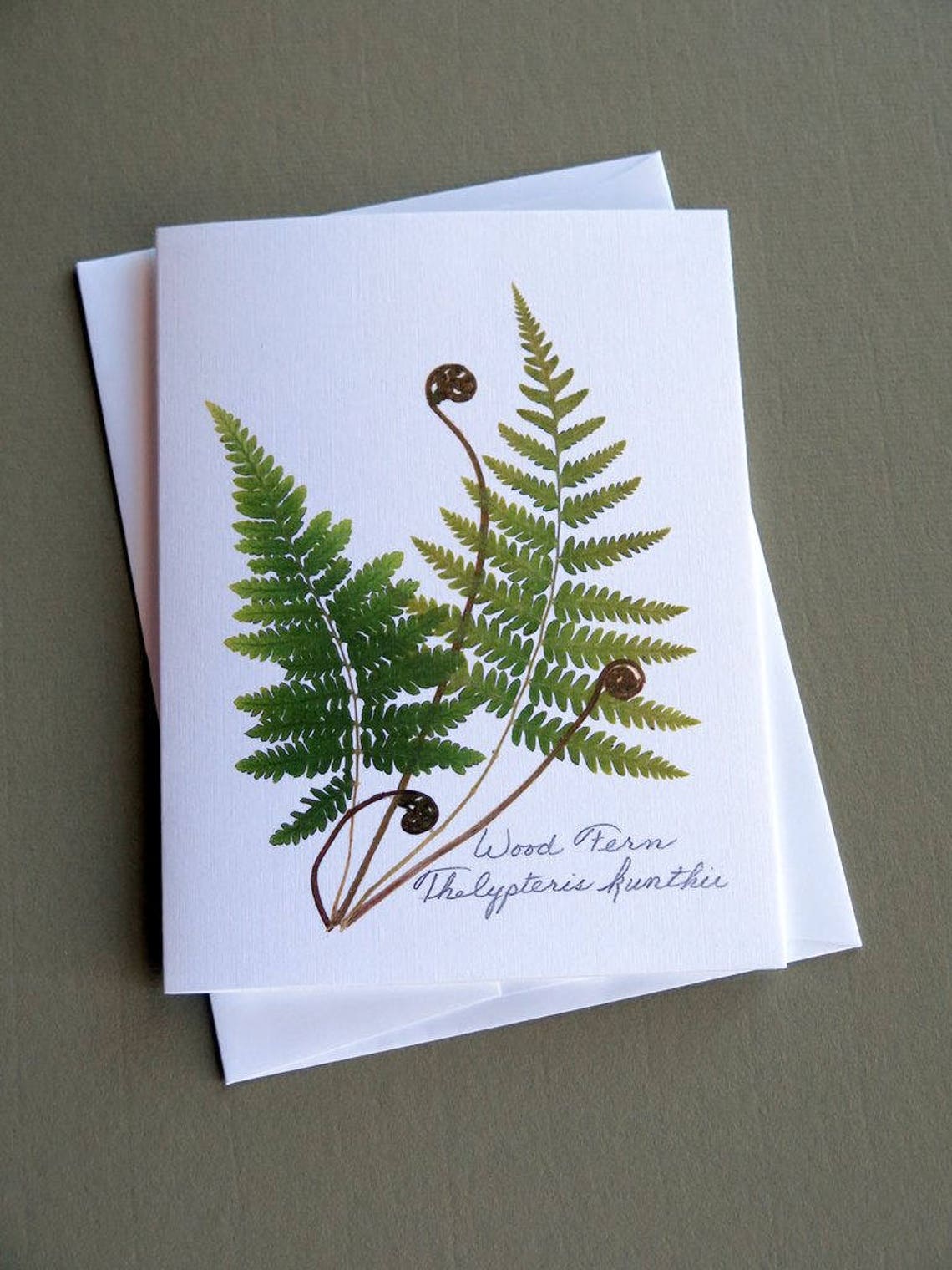 Wood Fern Card, Fern Card, Pressed Ferns, Greeting Card for Nature ...