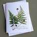Wood Fern Card, Fern Card, Pressed Ferns, Greeting Card for Nature ...