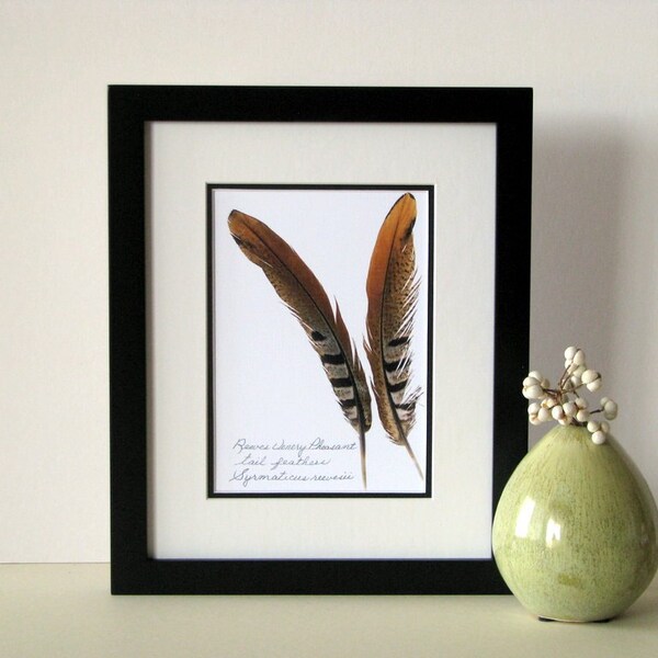 Feather Art Print - Etsy