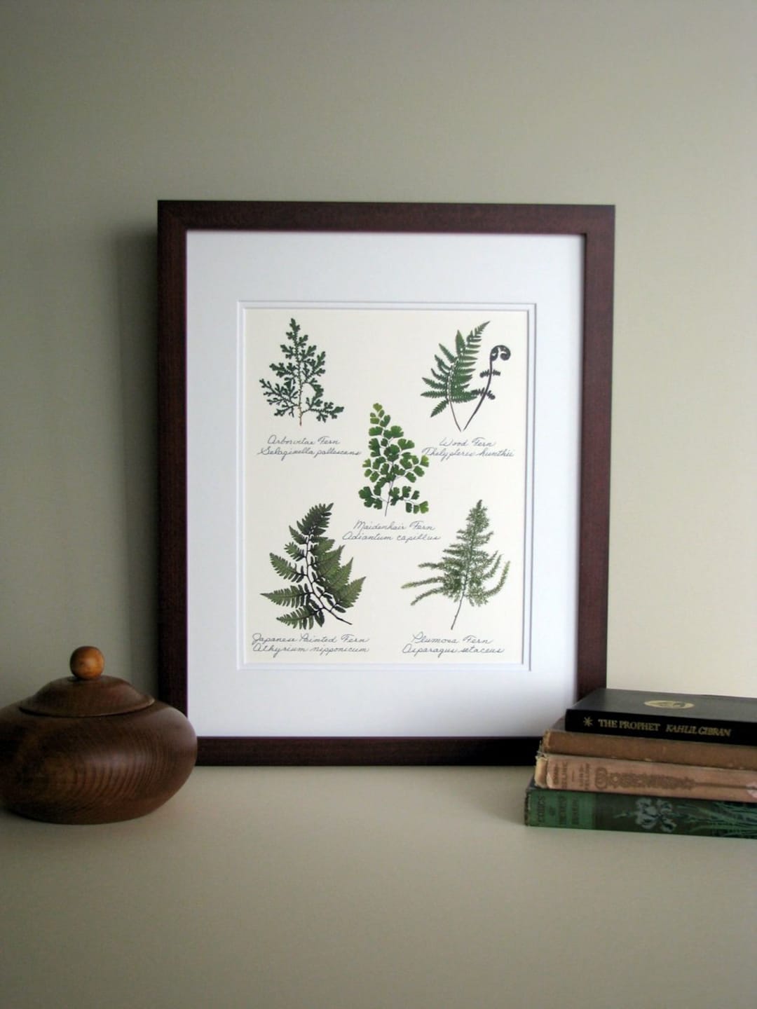 Pressed Fern Art Print, 11x14 Double Matted, Botanical Fern Study, Fern ...