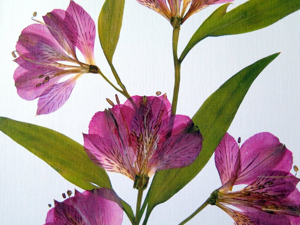 Pressed flowers print 11x14 double matted Alstroemerias | Etsy