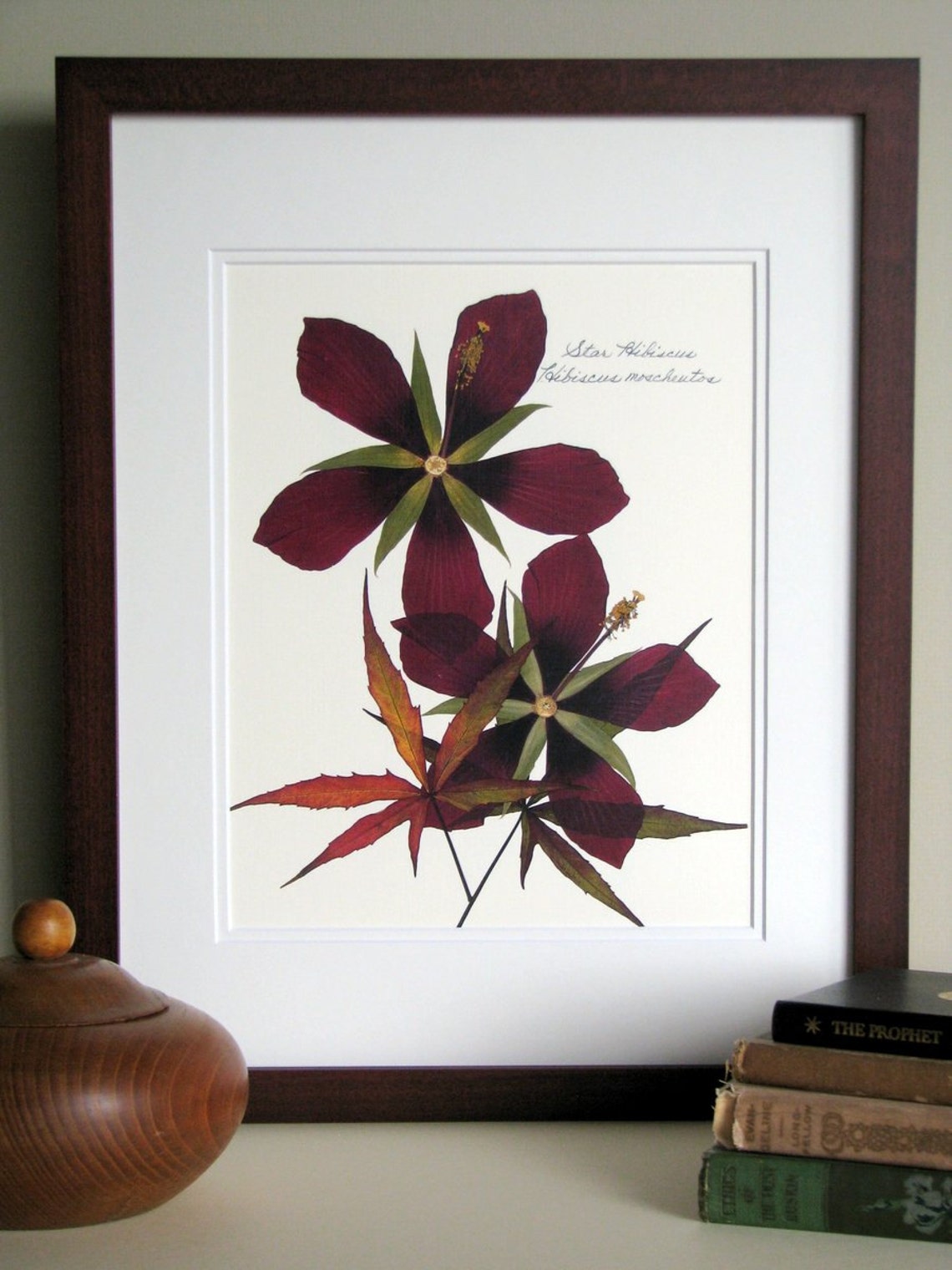 Pressed Flower Print, 11x14 Double Matted, Star Hibiscus Tropical ...