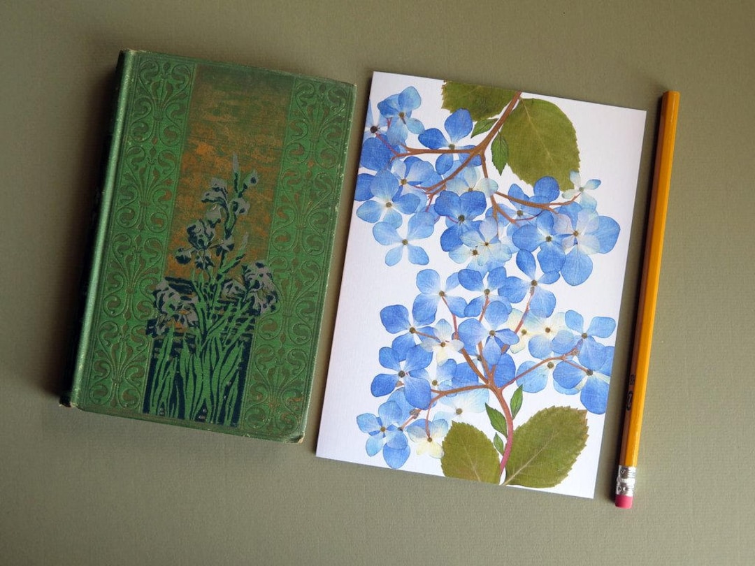 Blue Hydrangea Flowers, Pressed Flower Cards, Pressed Flower Art ...
