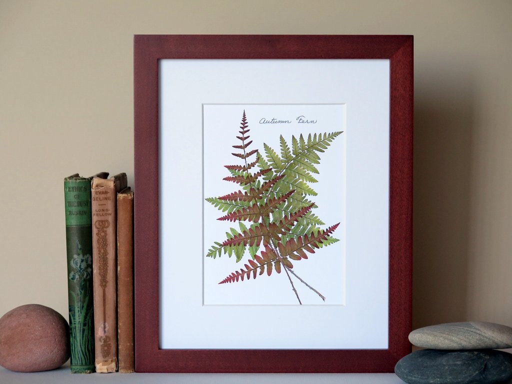 Pressed fern print 8 x 10 matted botanical art | Etsy