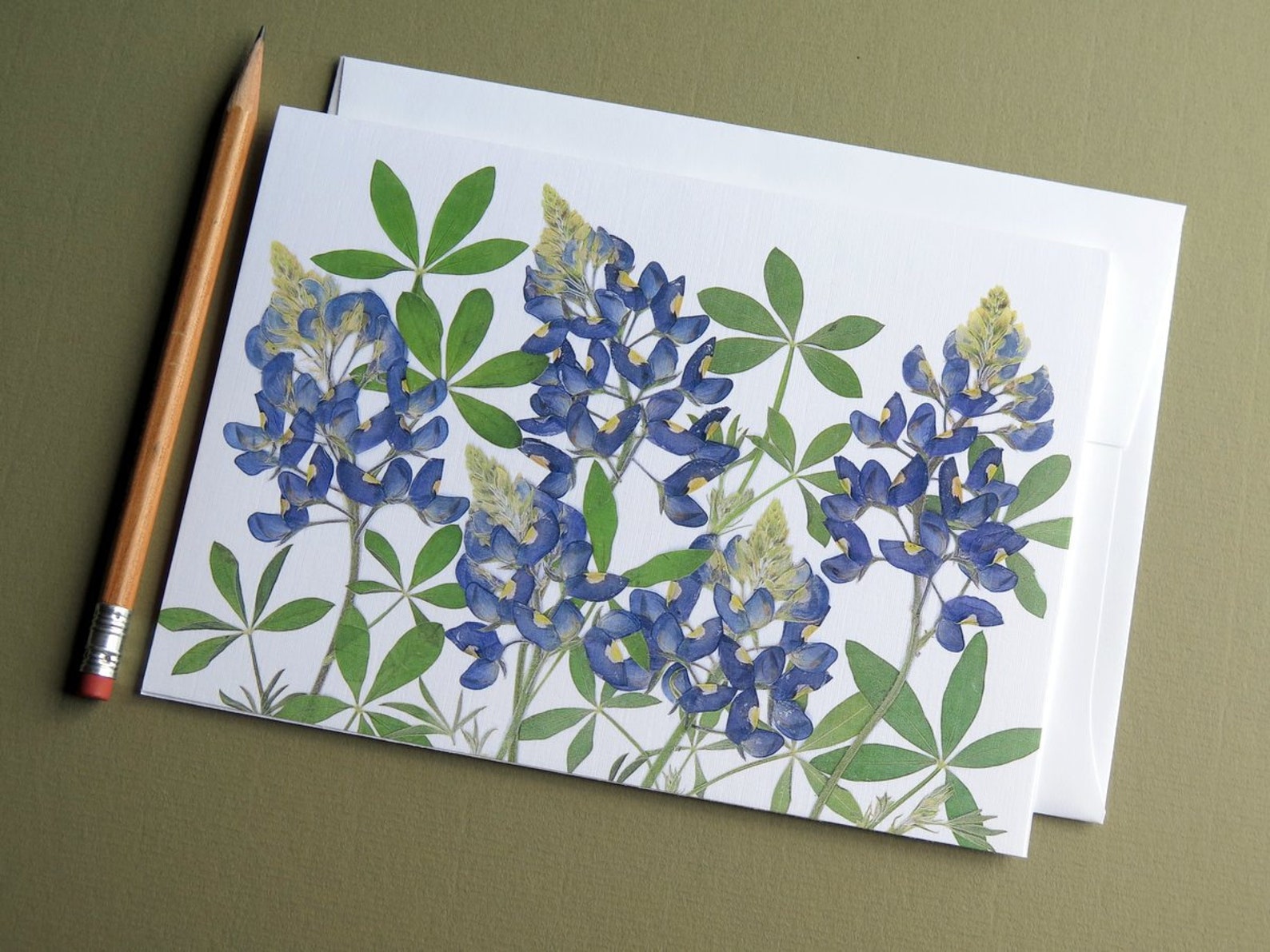 Bluebonnets Texas State Flower Pressed Flowers Card Austin - Etsy