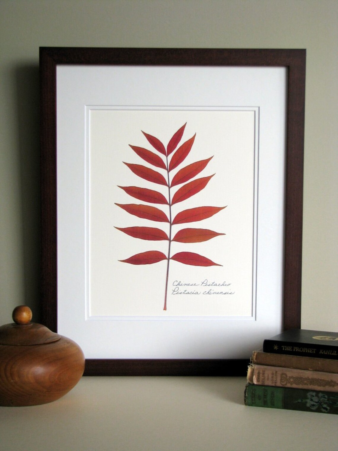 Pressed Leaf Art Print 11x14 Double Matted Chinese Pistachio - Etsy