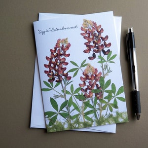 Aggie Maroon Bluebonnet, Texas Aggies, Texas A&M, College Station ...