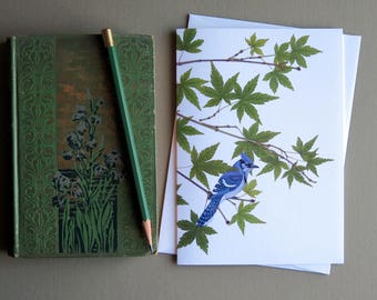 Bird Watcher Card - Etsy