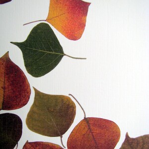 Pressed Leaves Print, 11x14 Double Matted, Chinese Tallow Leaves Swirl Design, Dried Leaves Art ...