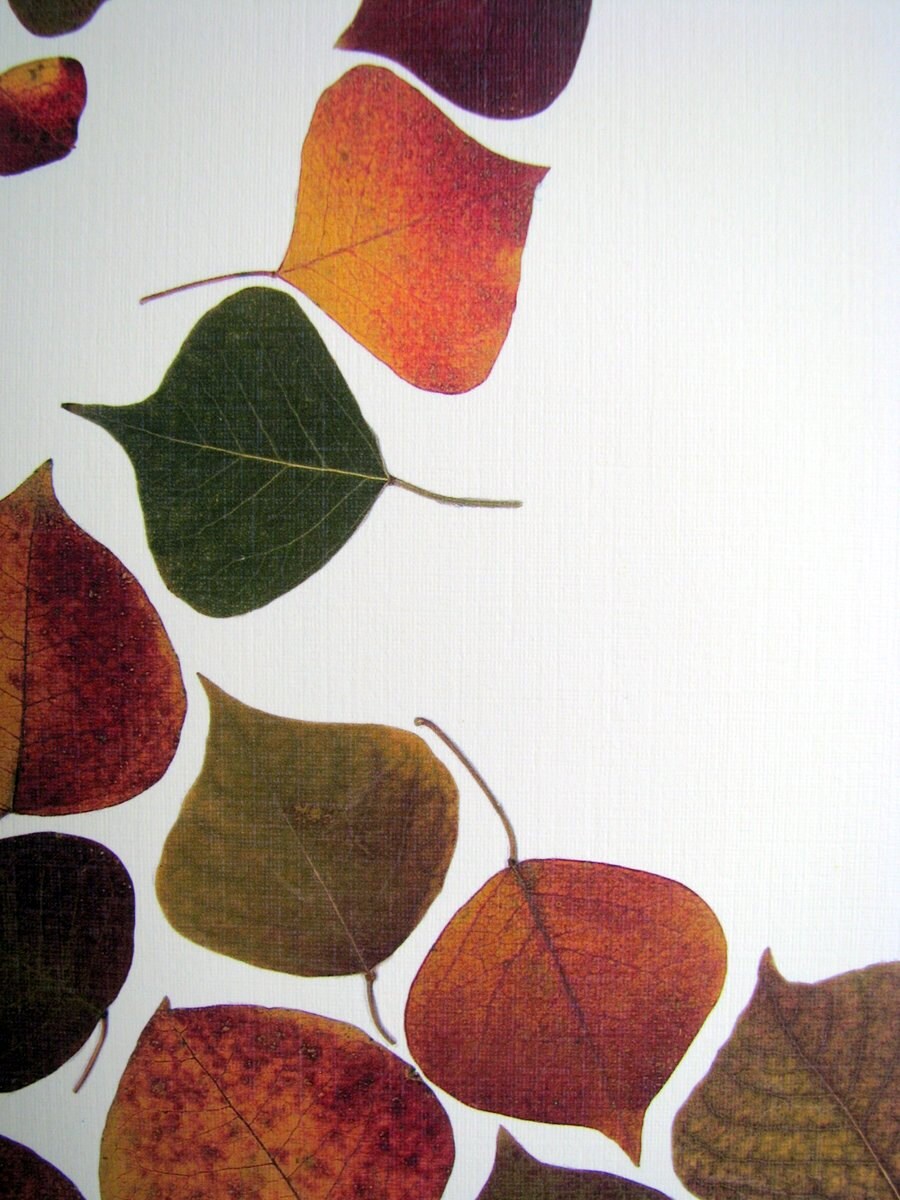 Pressed Leaves Print 11x14 Double Matted Chinese Tallow - Etsy