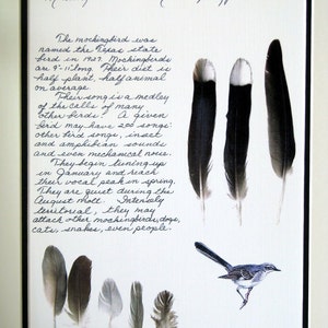 Feather Art Print, Mockingbird Art, Feather Art, Modern, Mockingbird ...