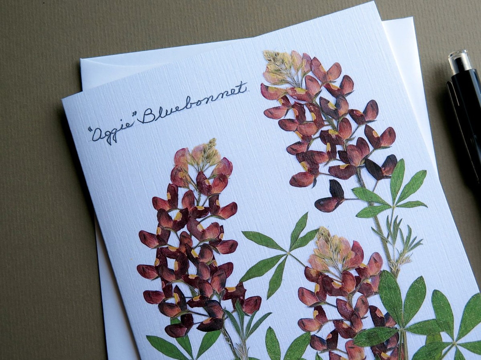 Aggie Maroon Bluebonnet, Texas Aggies, Texas A&M, College Station ...