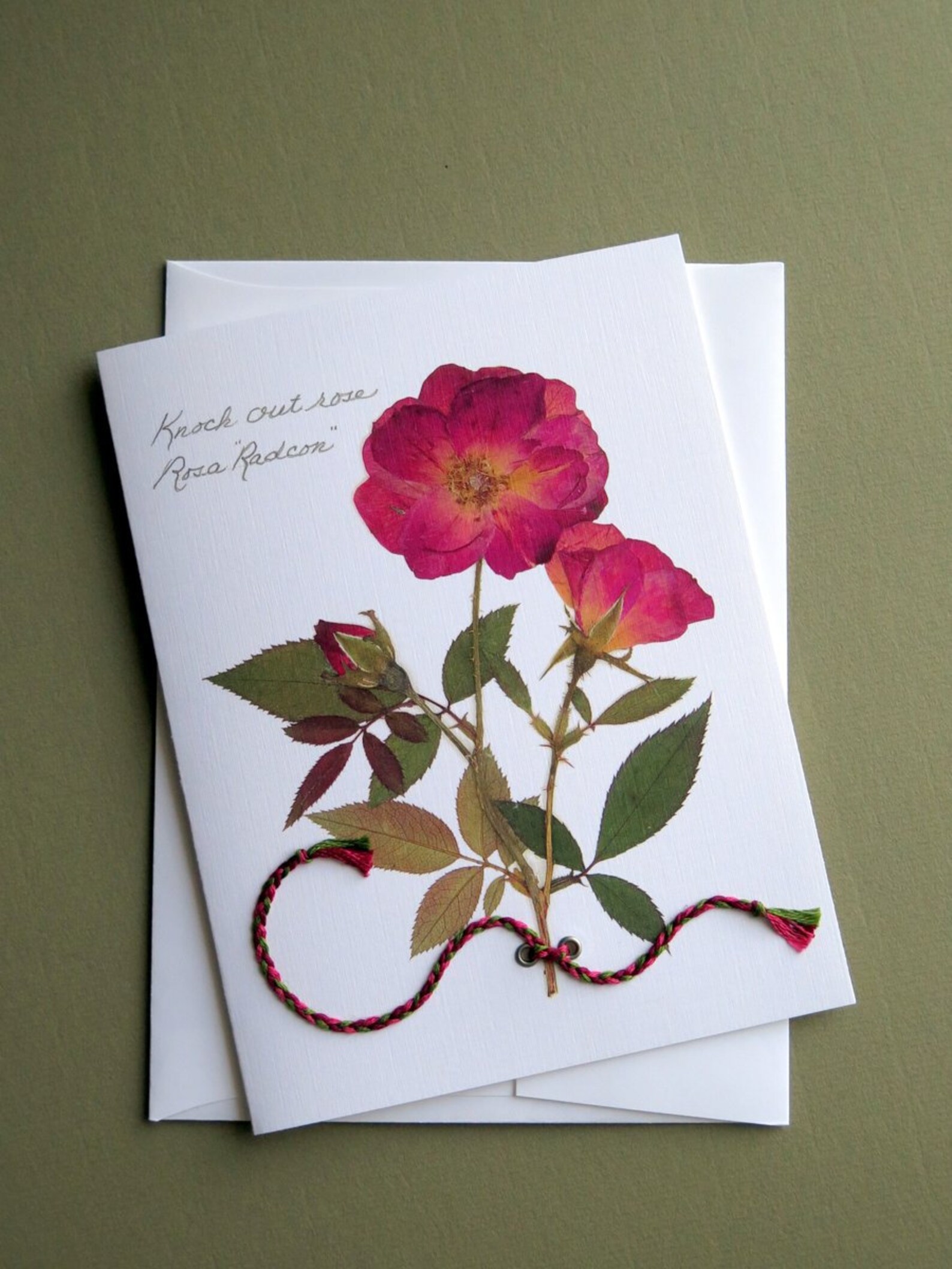 Knock Out Rose With Braided Tie Red Roses Pressed Rose Art | Etsy