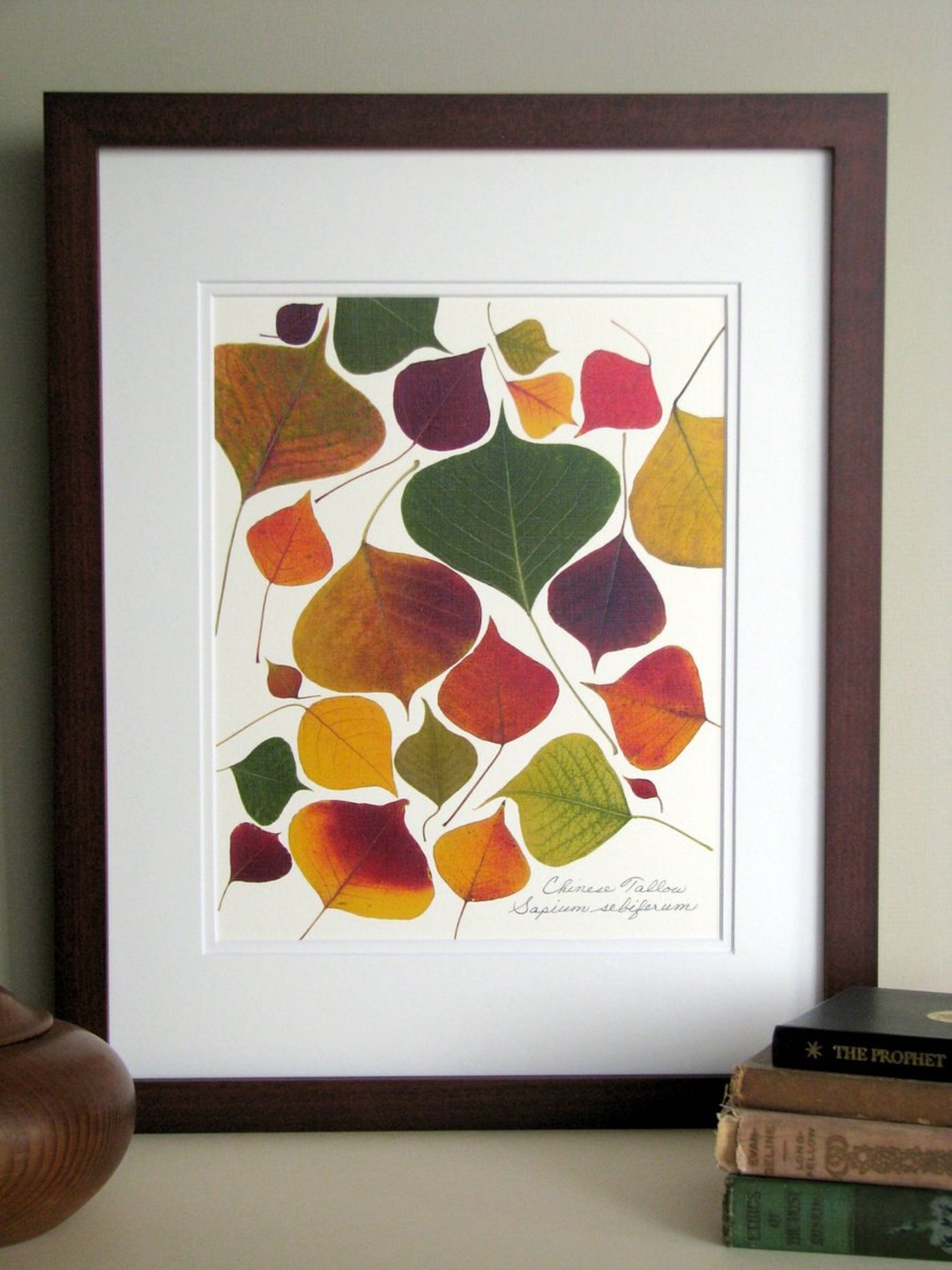 Pressed Leaf Print, 11x14 Double Matted, Chinese Tallow Leaves, Nature ...