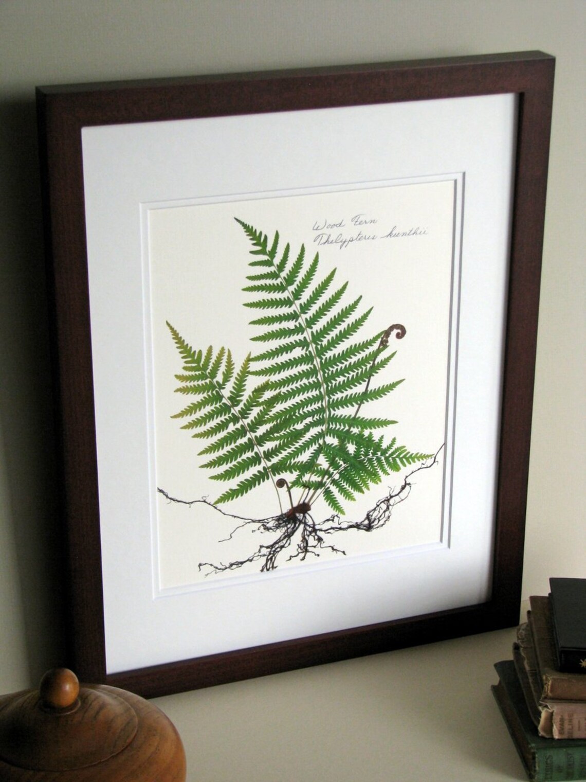 Pressed fern print 11x14 double matted wood fern study with | Etsy