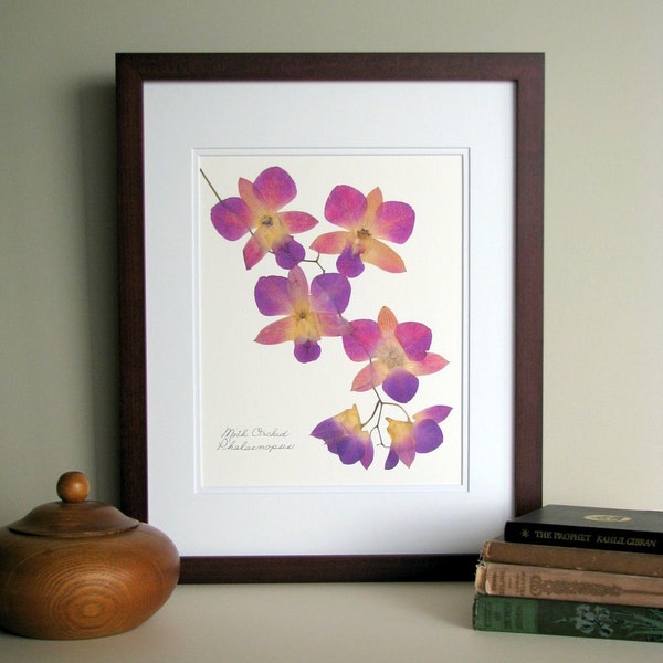 Pressed Tropical Flowers - Etsy