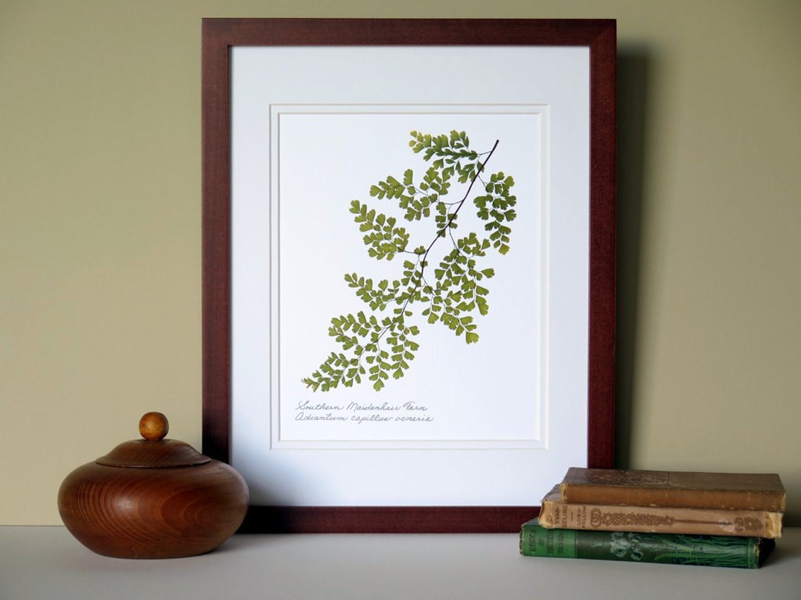 Pressed Fern Print 11x14 Double Matted Southern Maidenhair | Etsy