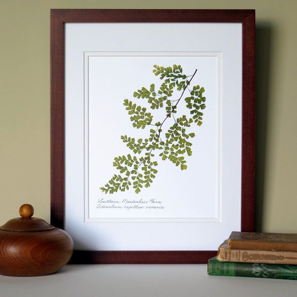 Fern Print - Etsy