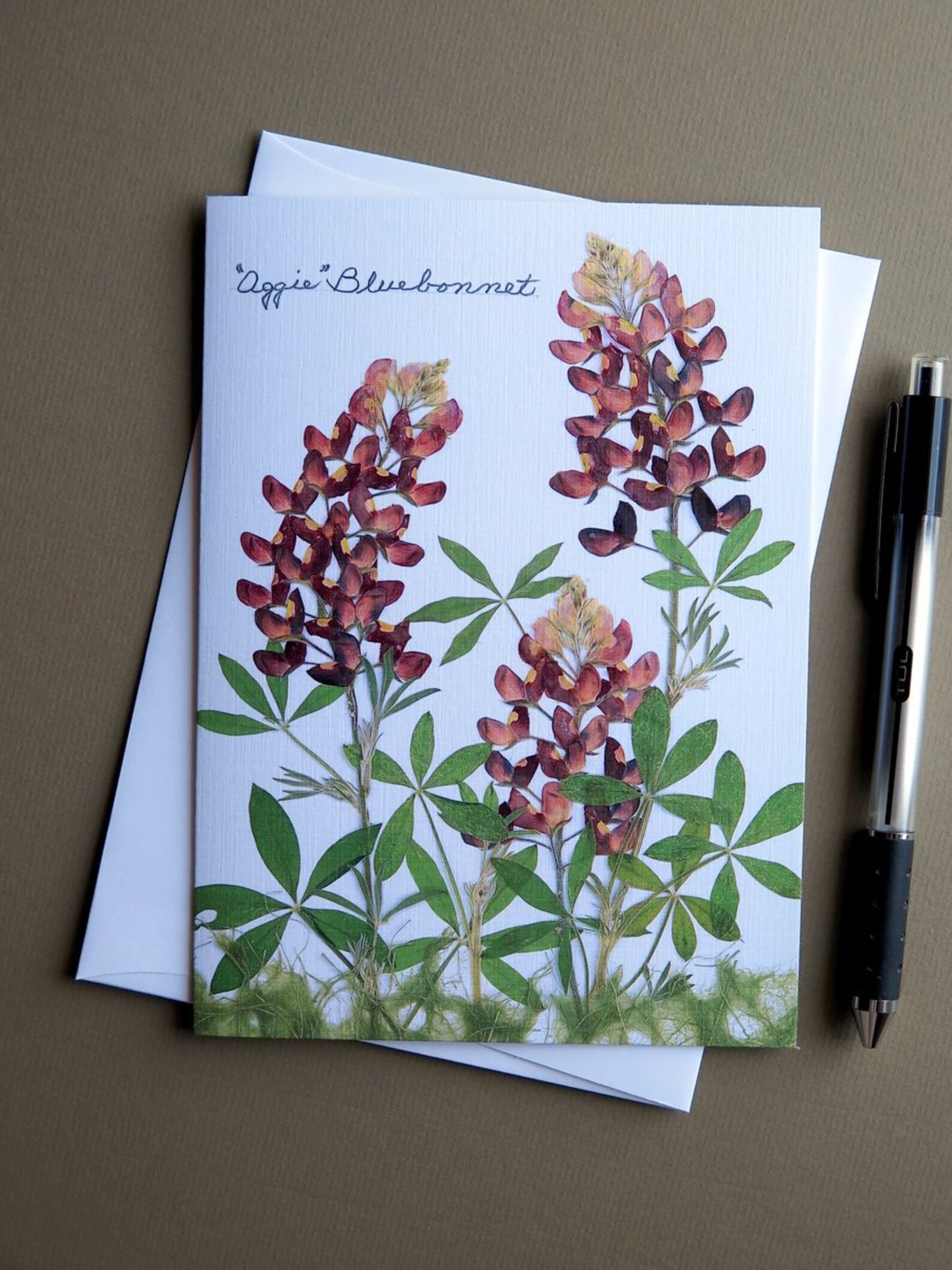 Aggie Maroon Bluebonnet, Texas Aggies, Texas A&M, College Station ...