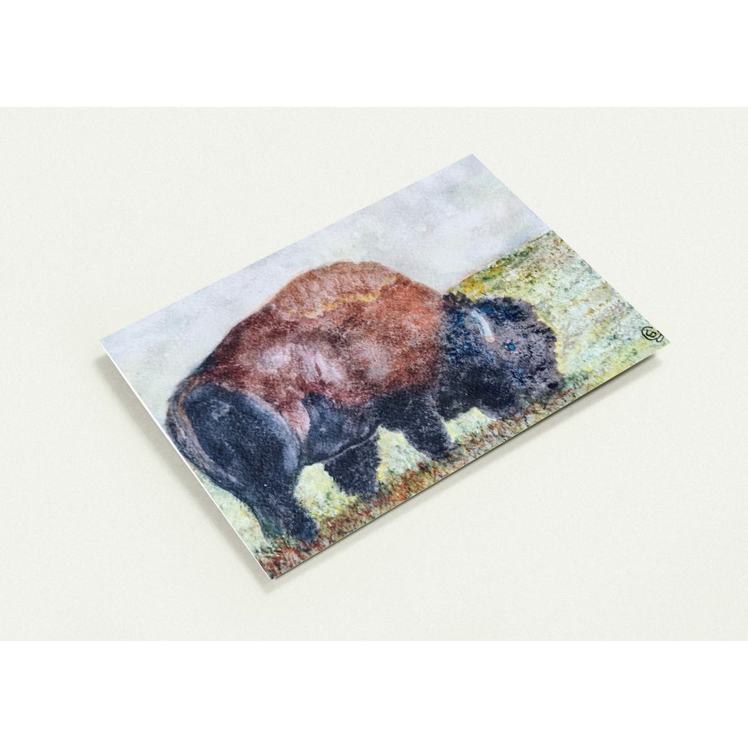 Bison Watercolor 10 Cards - Etsy