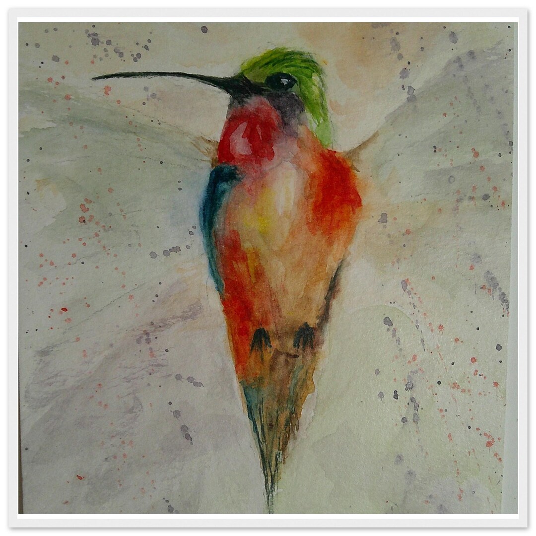 Hummingbird Classic Economy Wood Frame Matte - Etsy