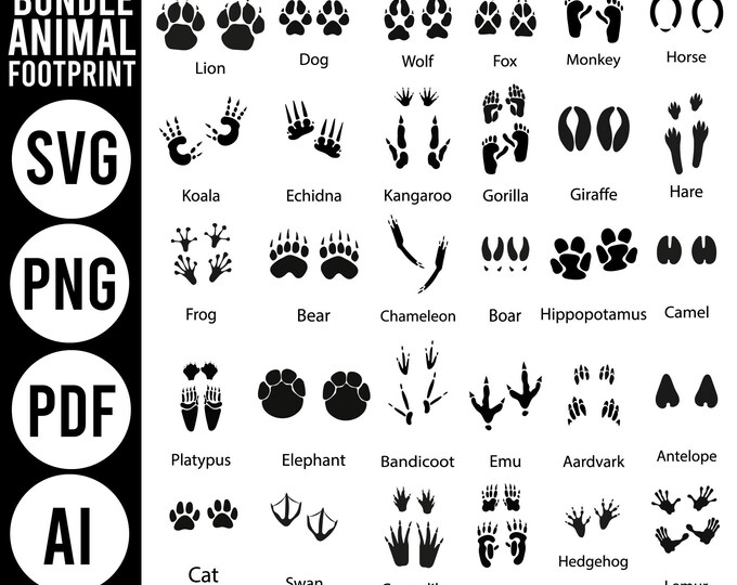 Printable Animal Footprints Flashcard - Printable Animals With ...
