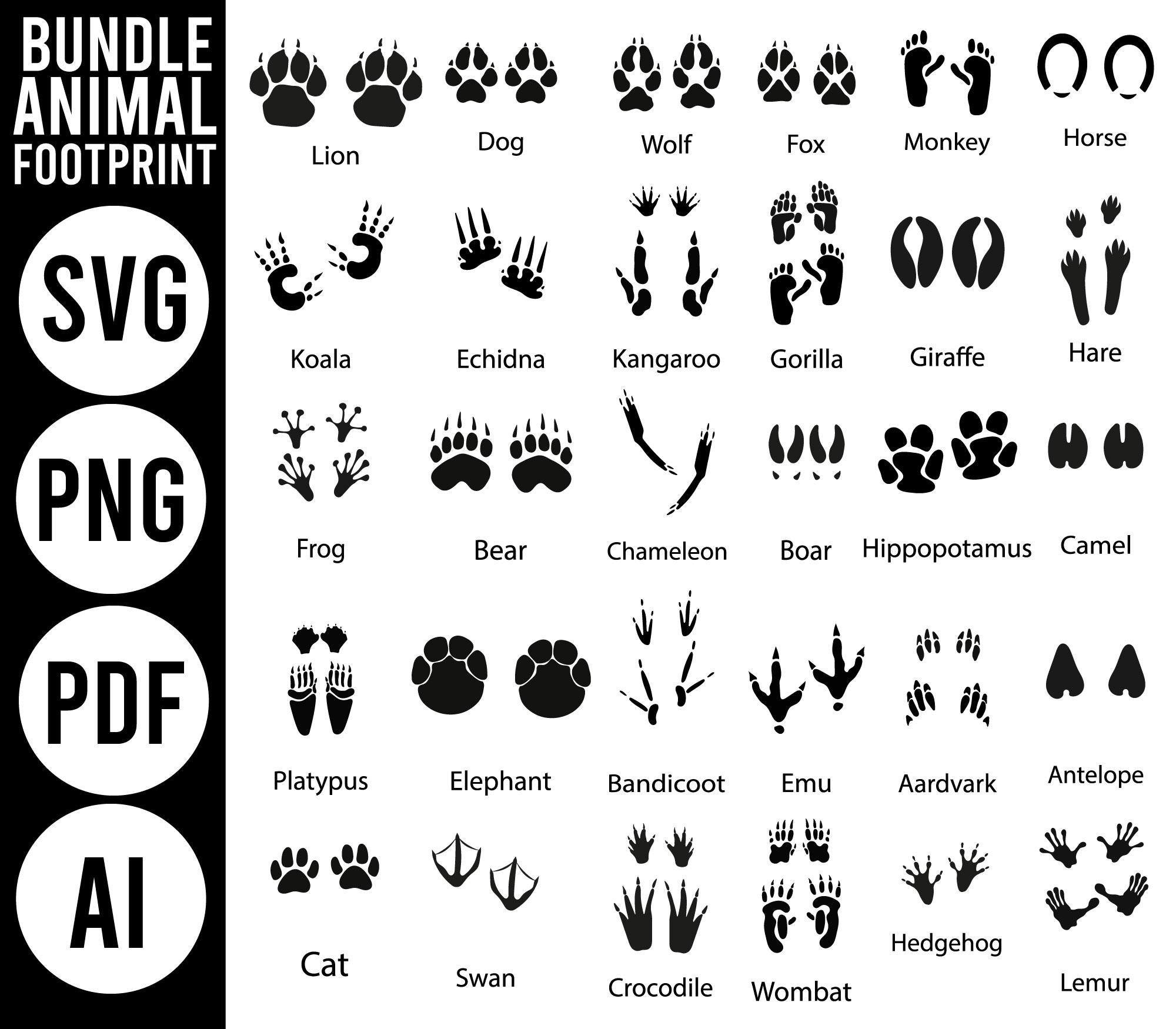 Animal Foot Print Svg Png, Animal Tracks SVG, Footprints Svg, Wild ...