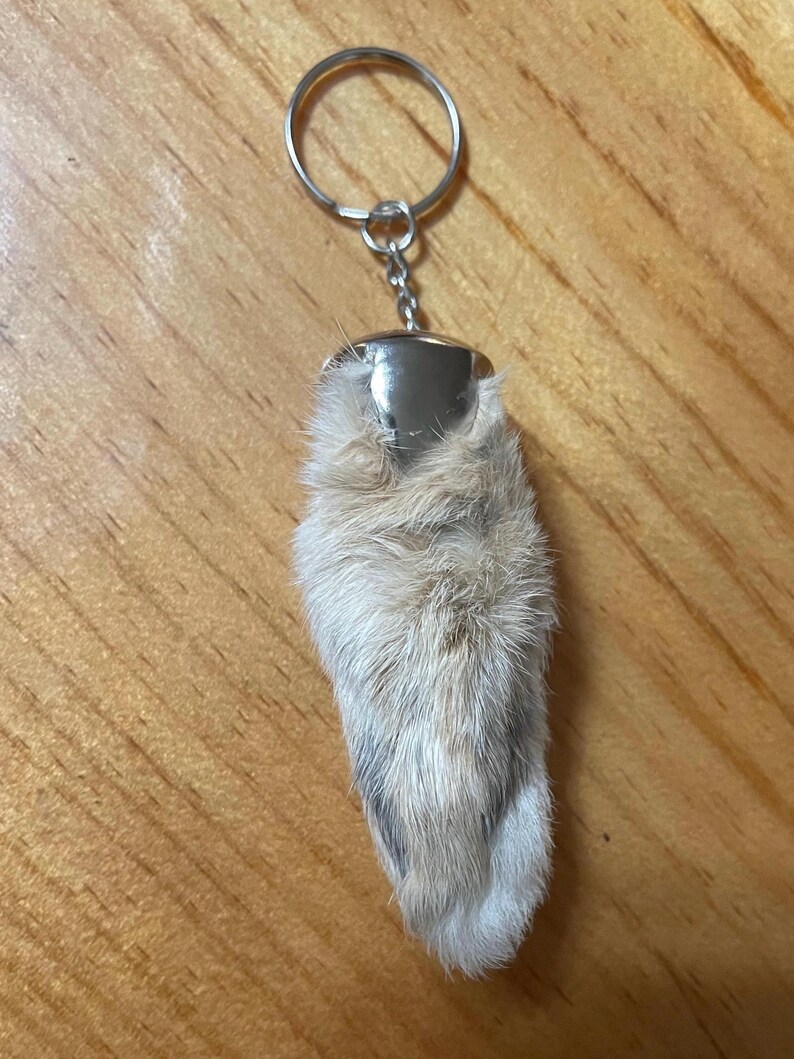 Lucky Rabbit Foot Keychain Silver Bell Hardware (rear Foot) - Etsy