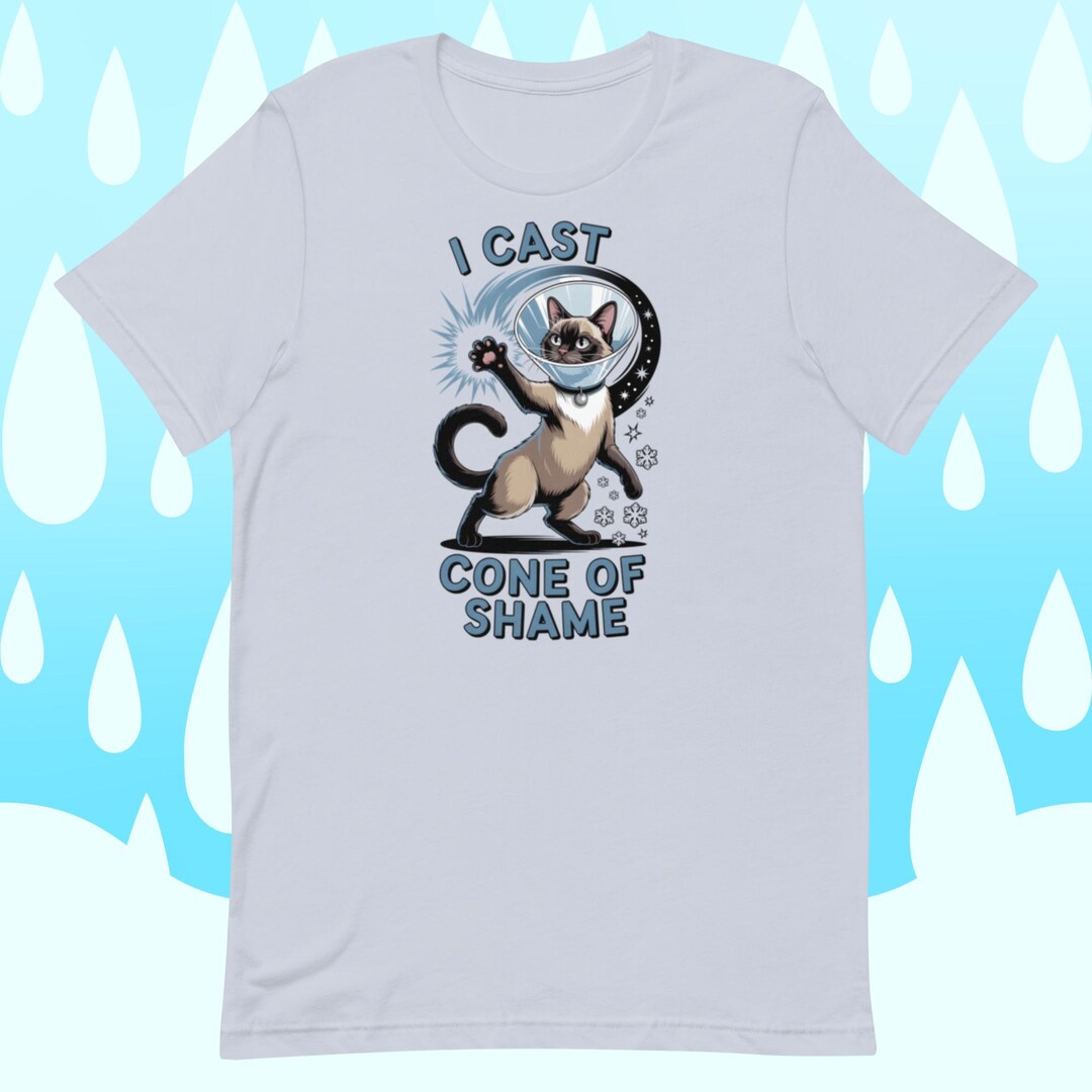 I Cast Cone of Shame Shirt – Funny Dungeons & Dragons Cat T-shirt ...
